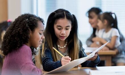 The Solution for Learning Mathematics is the Solution | Exemplars